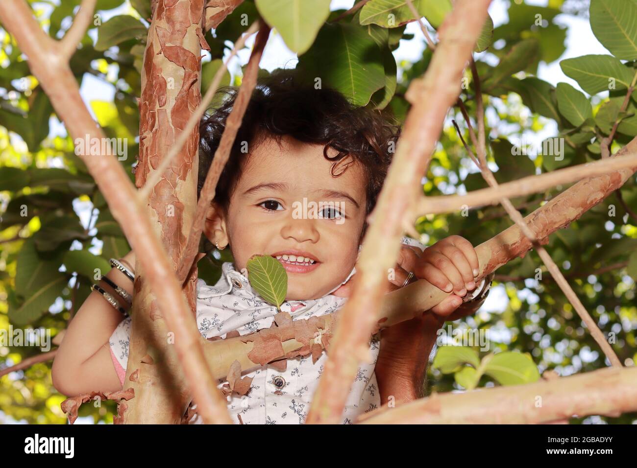 Indian boy climbing tree hi-res stock photography and images - Alamy