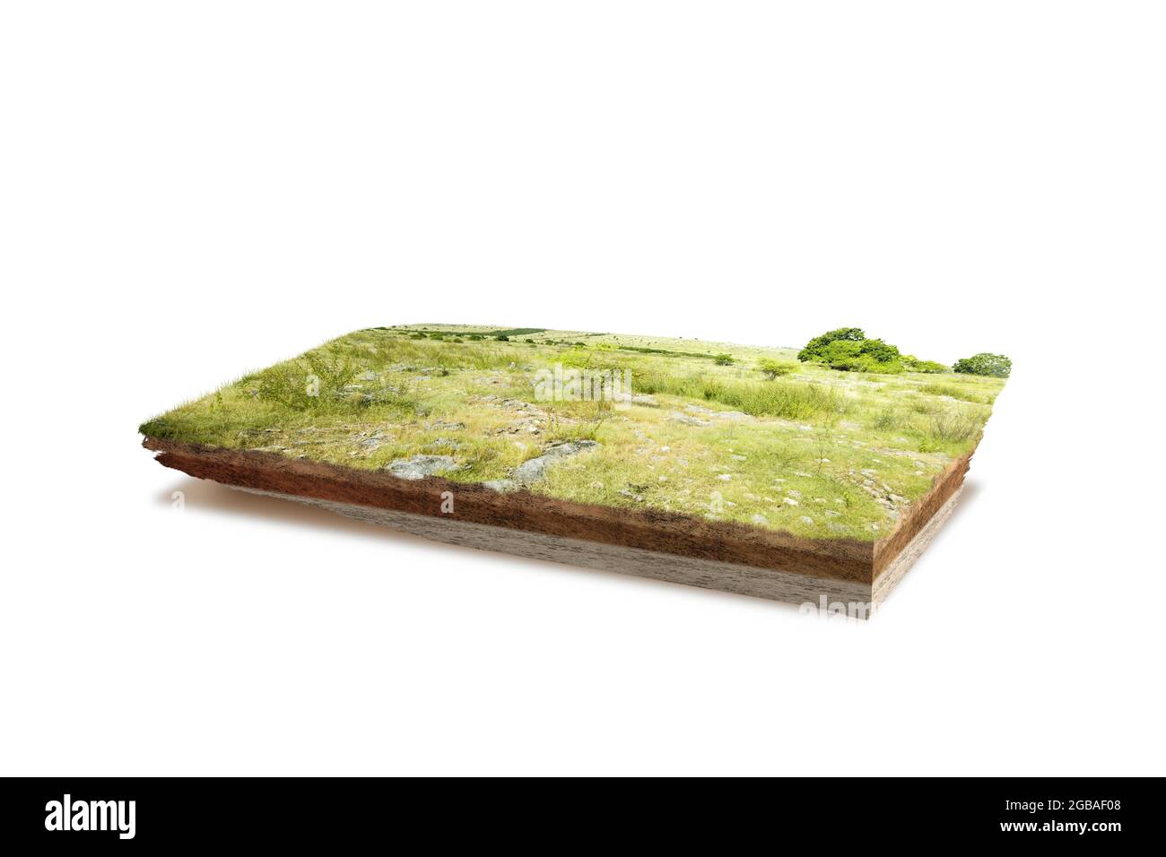 Underground soil layer of cross-section earth with meadow on the top ...