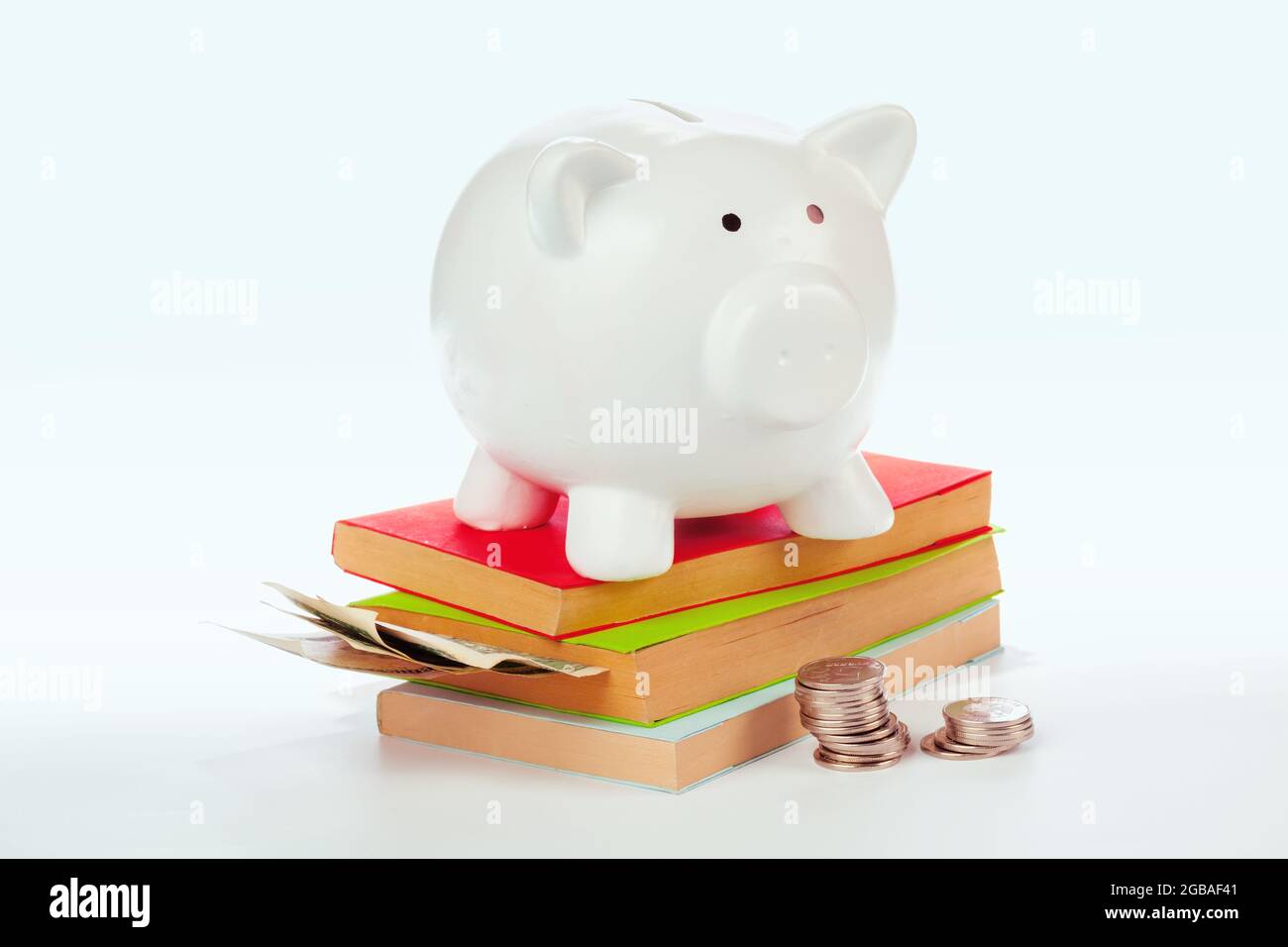 Ceramic piggy bank with books and money Stock Photo - Alamy