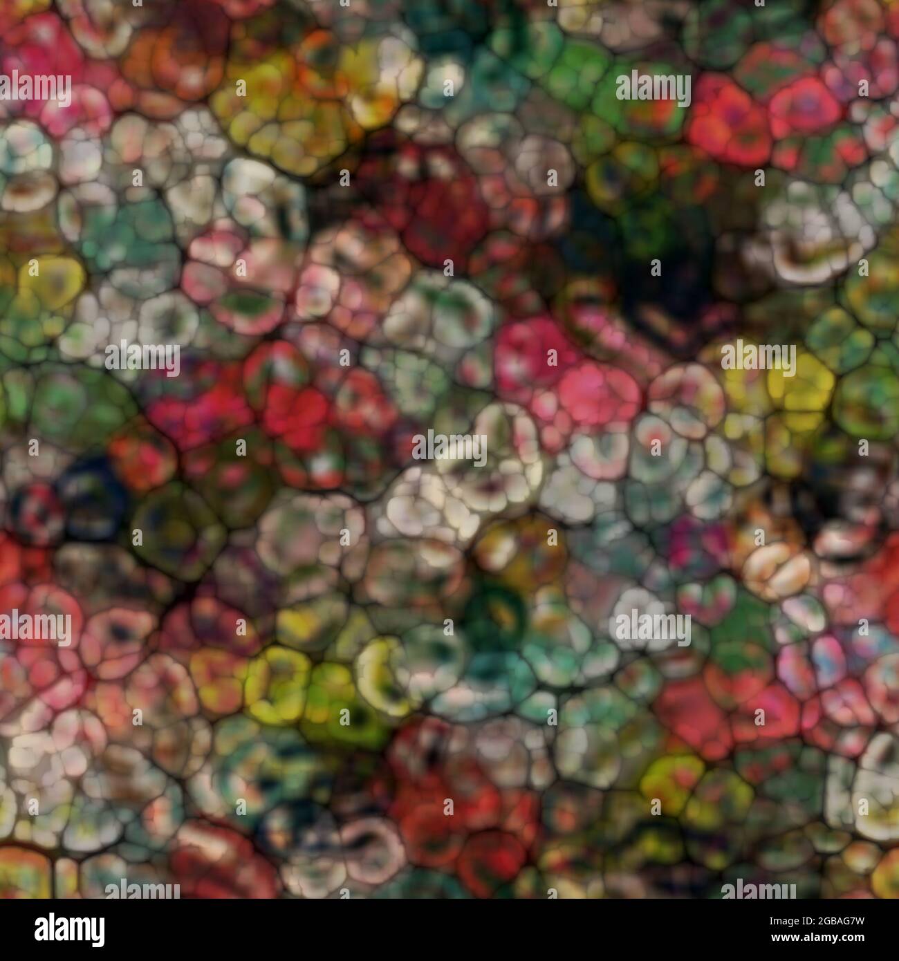 Lichen, Mushroom, Fungus family of different colors as organic seamless ...