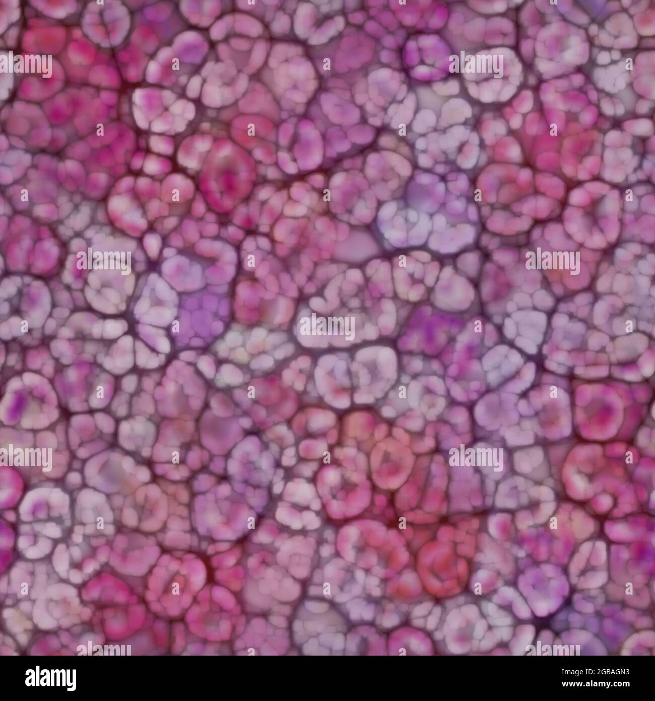 Lichen, Mushroom, Fungus family of different colors as organic seamless ...