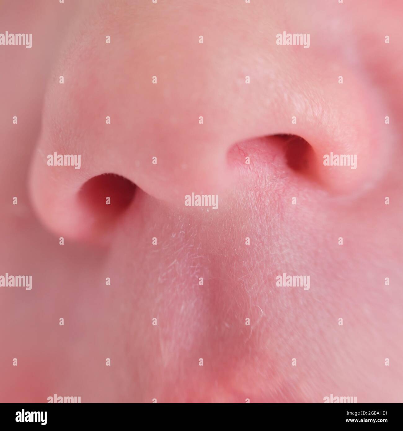 Baby boy nose close up, face newborn infant macro Stock Photo - Alamy