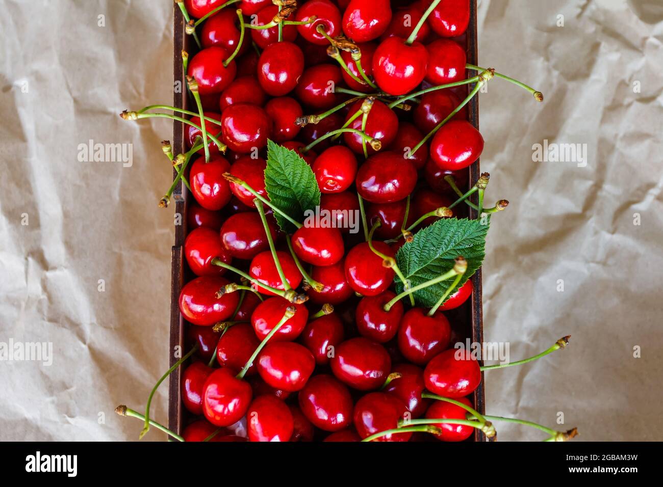 Close-up cropped box, crape of dark red sweet cherries with tail and ...