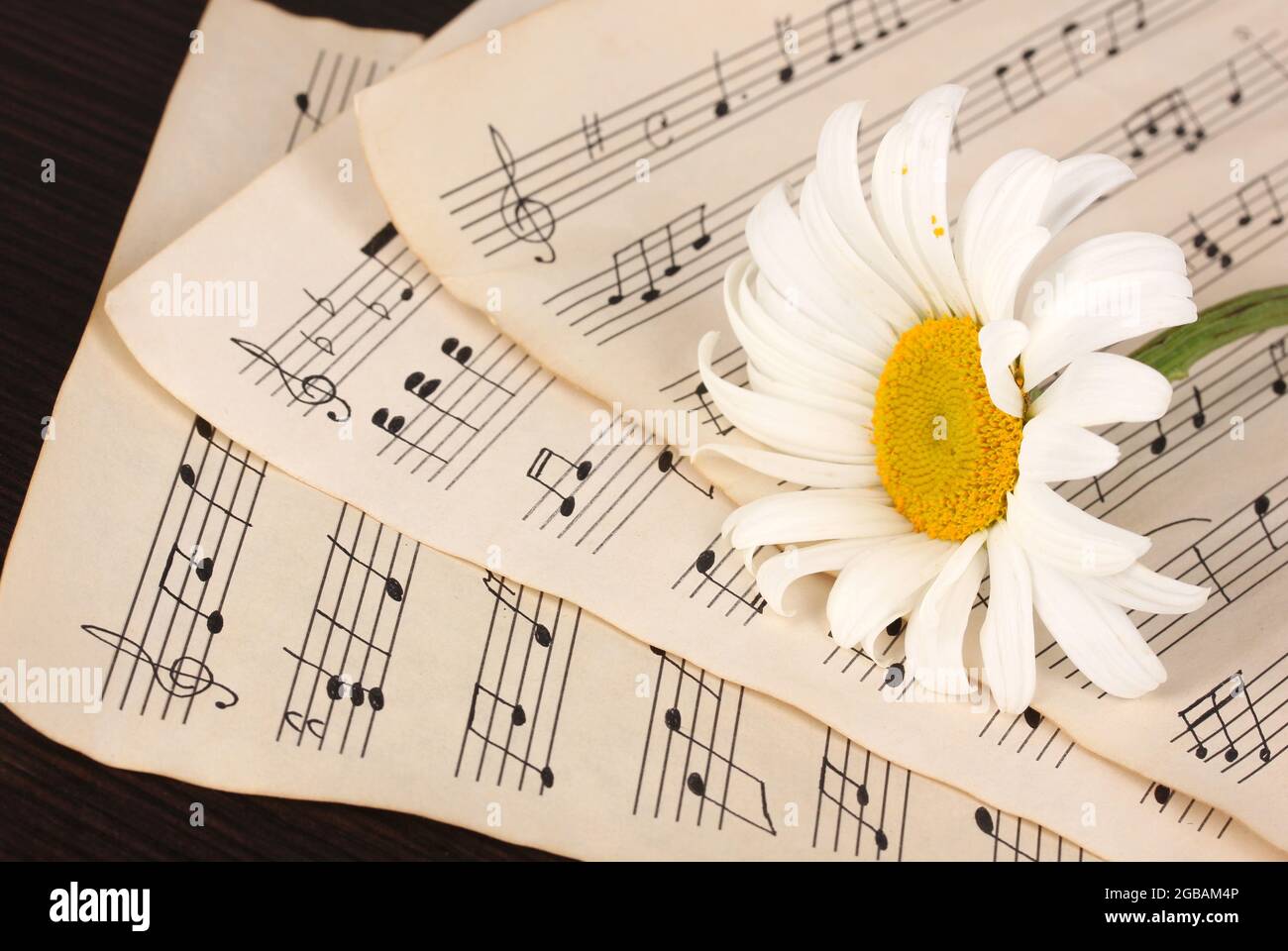 Musical notes and flower on wooden table Stock Photo - Alamy