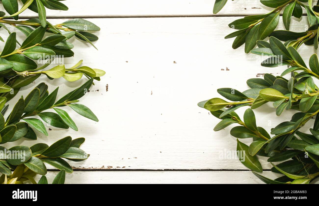 Boho Border High Resolution Stock Photography and Images - Alamy