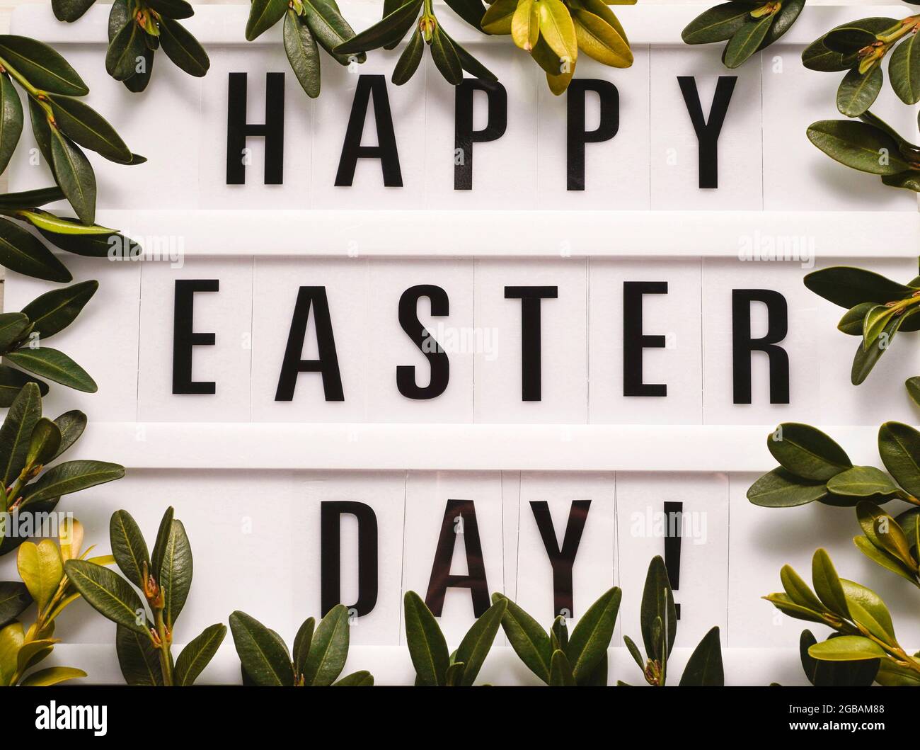 Creative frame border Happy Easter Day card with Stylish text frame ...