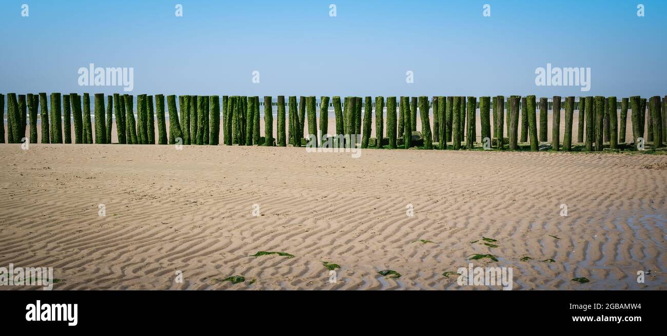Coastal structures on the beach, Zeeland, The Netherlands Stock Photo ...