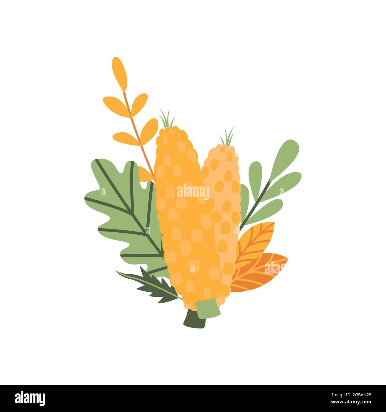Harvest Corn Clip Art