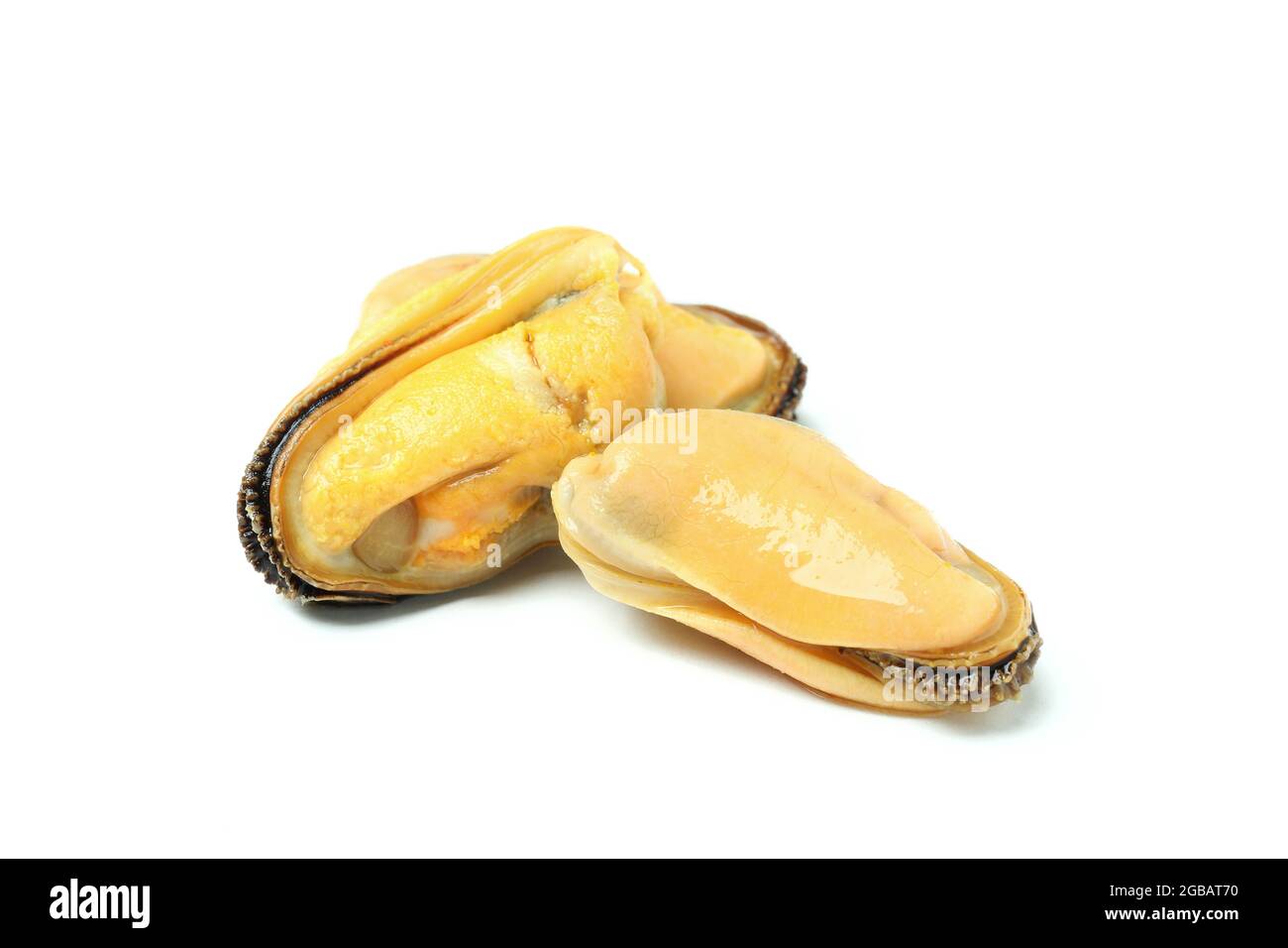 Fresh mussels seafood isolated on white background Stock Photo - Alamy