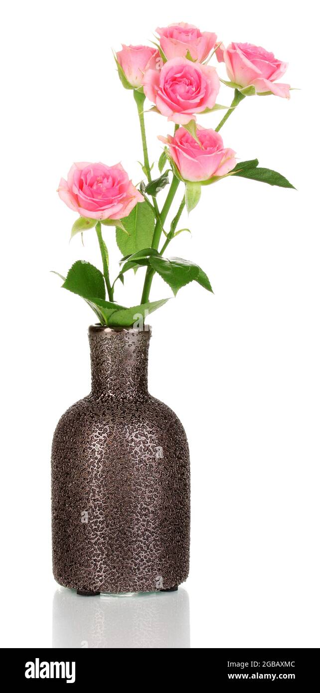 Pink roses in vase isolated on white Stock Photo - Alamy