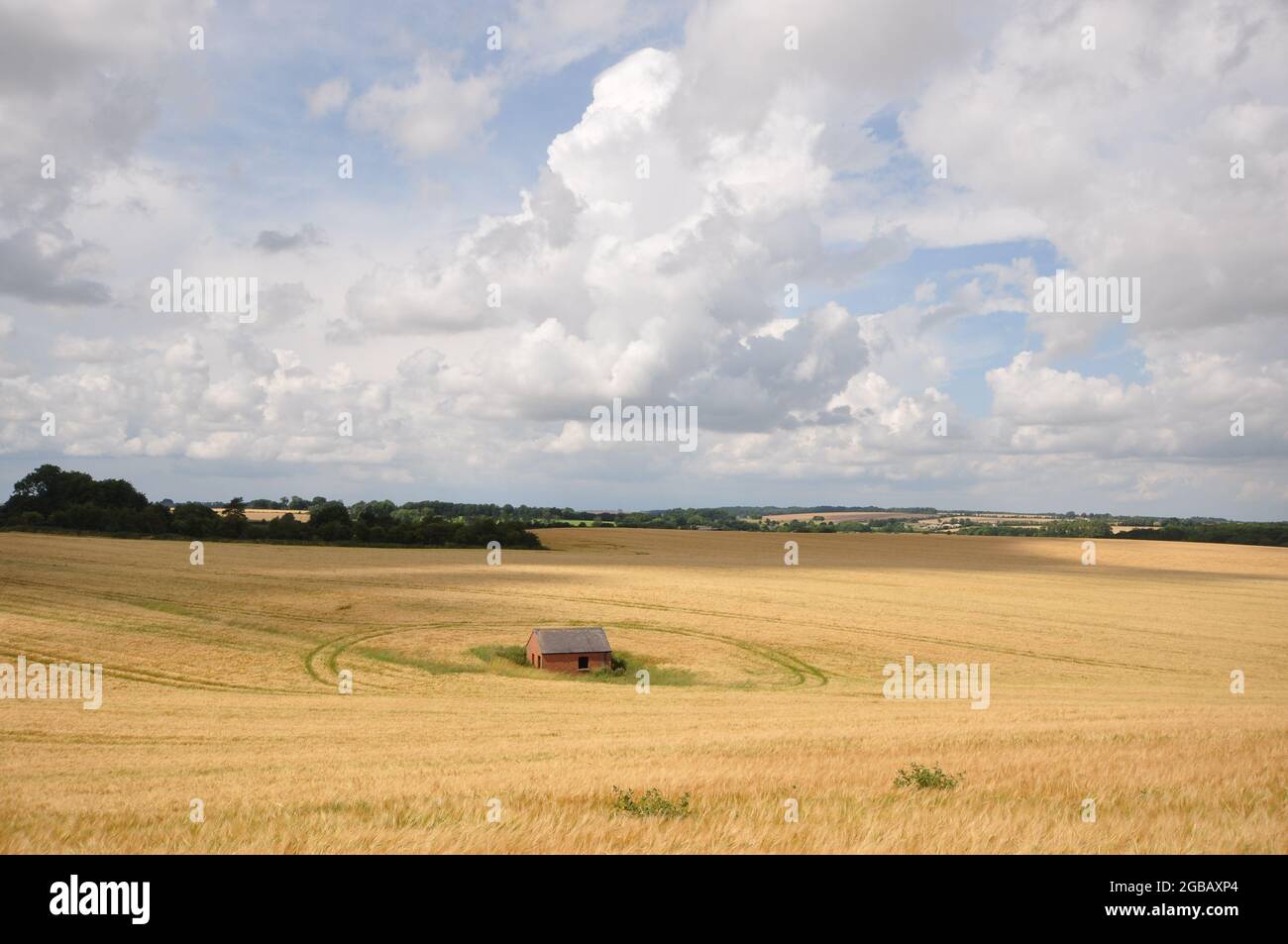 Brinkhill hi-res stock photography and images - Alamy