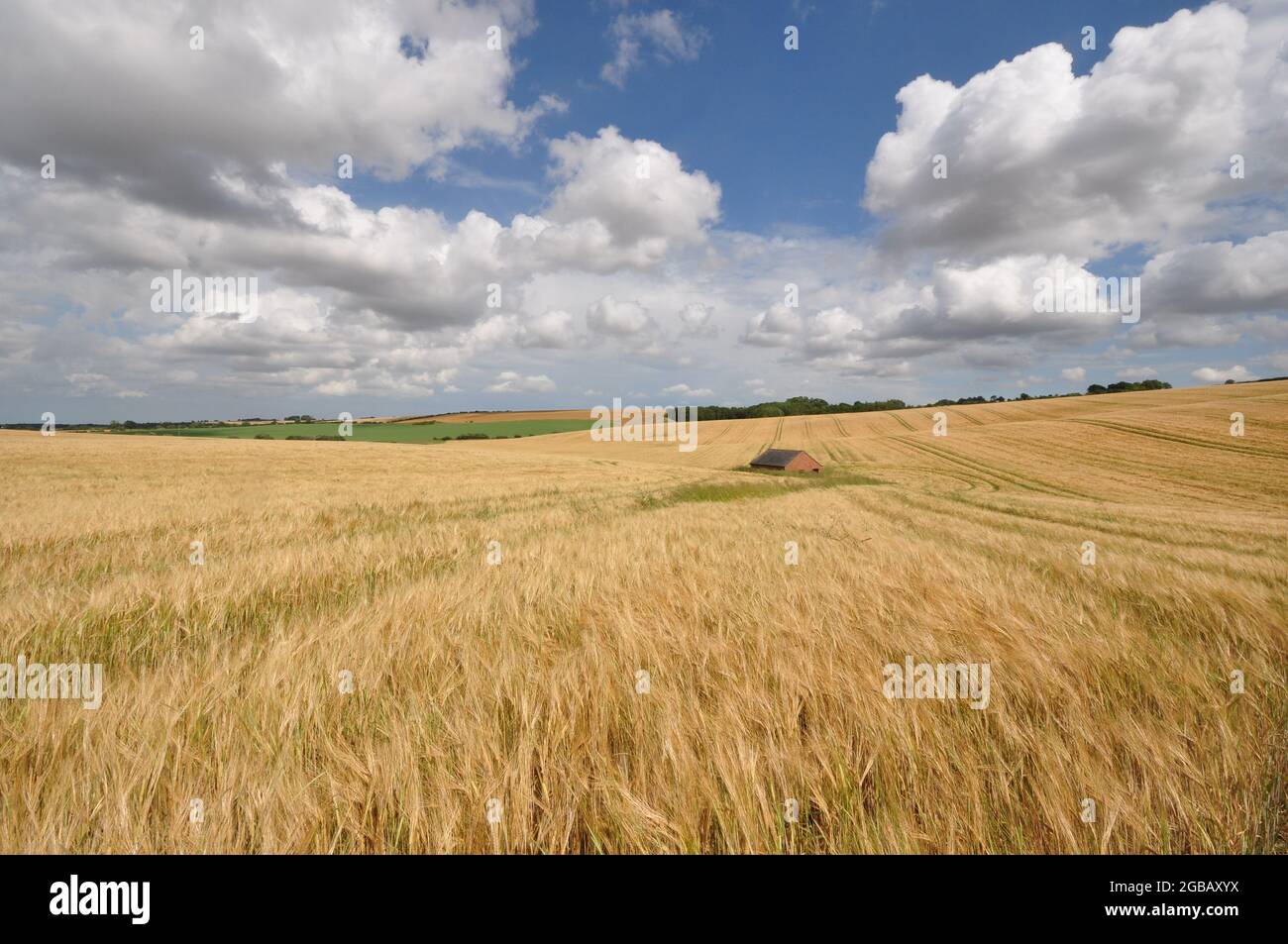 Brinkhill hi-res stock photography and images - Alamy