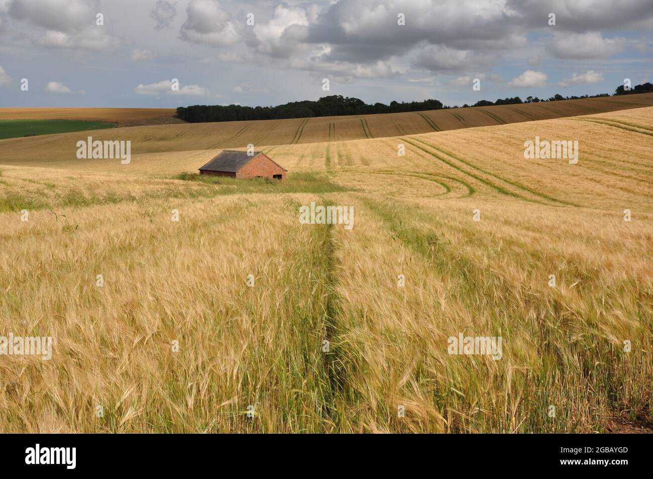 Brinkhill hi-res stock photography and images - Alamy
