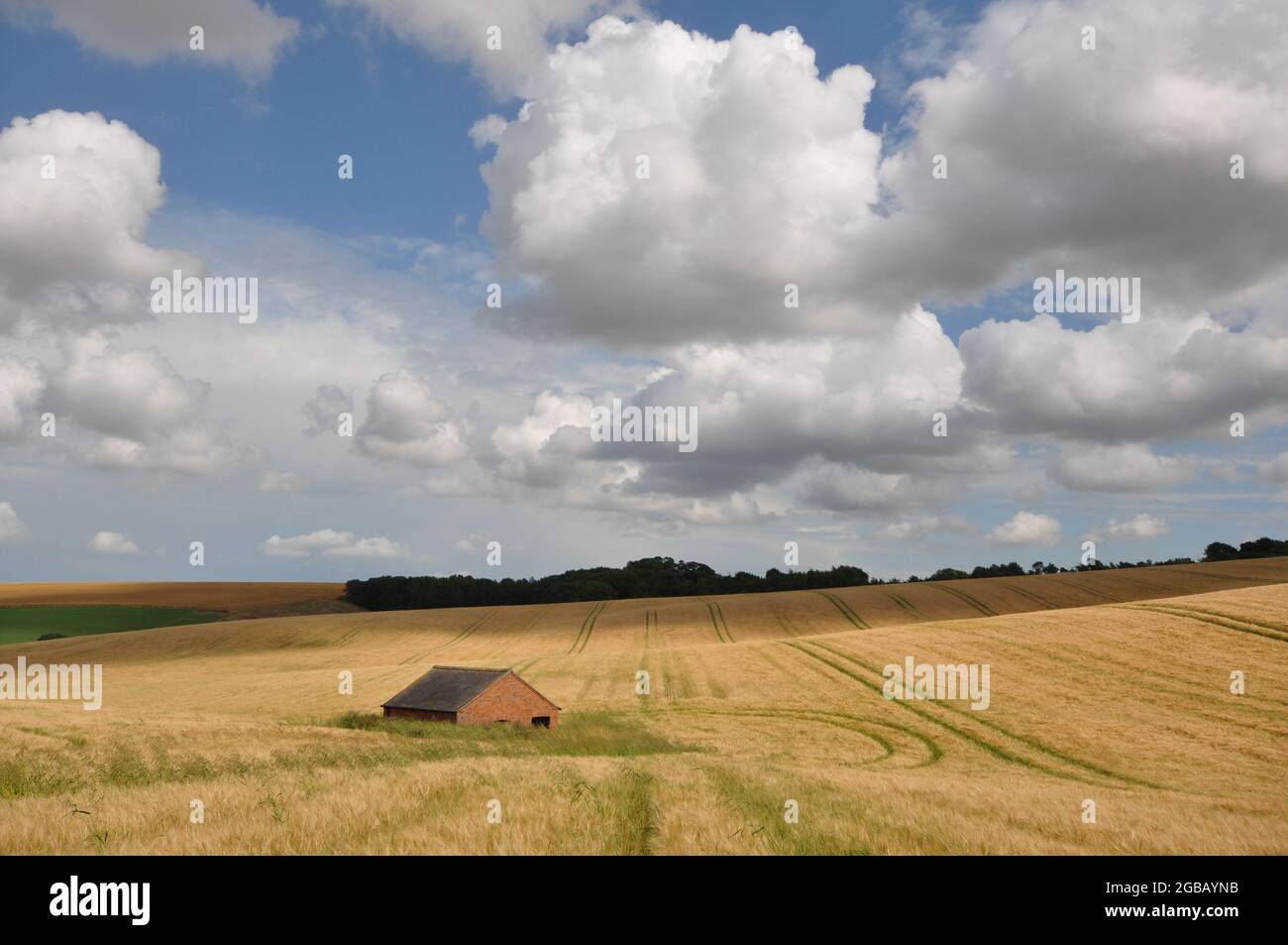 Brinkhill hi-res stock photography and images - Alamy