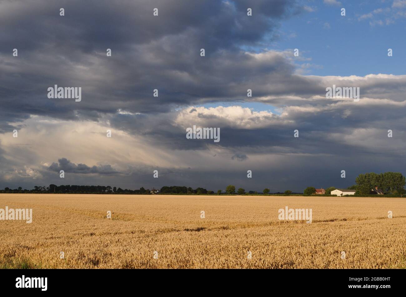 Looking north-east from OS grid 498231 over Terrington Marsh, towards ...