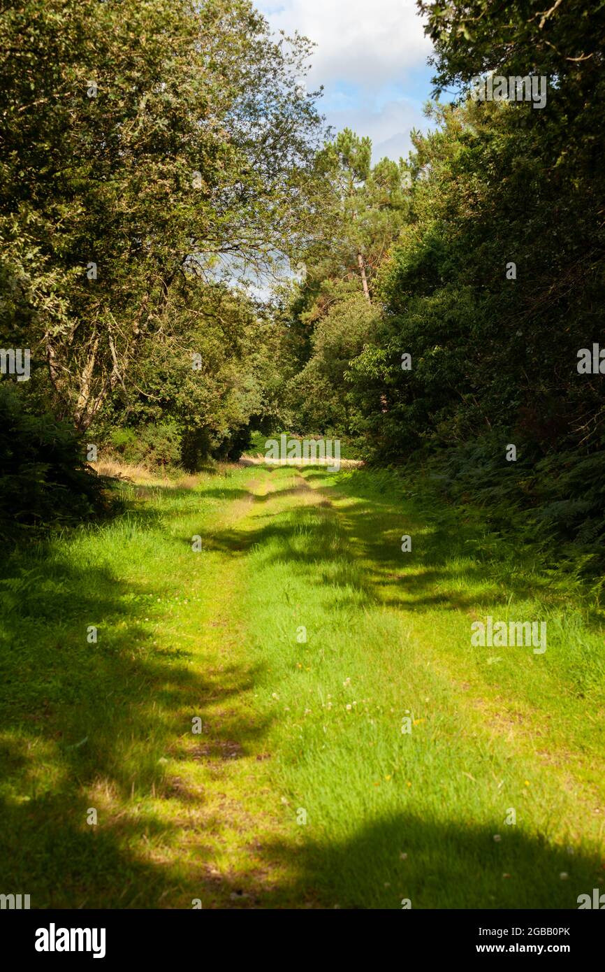 Dirt road between two hi-res stock photography and images - Alamy