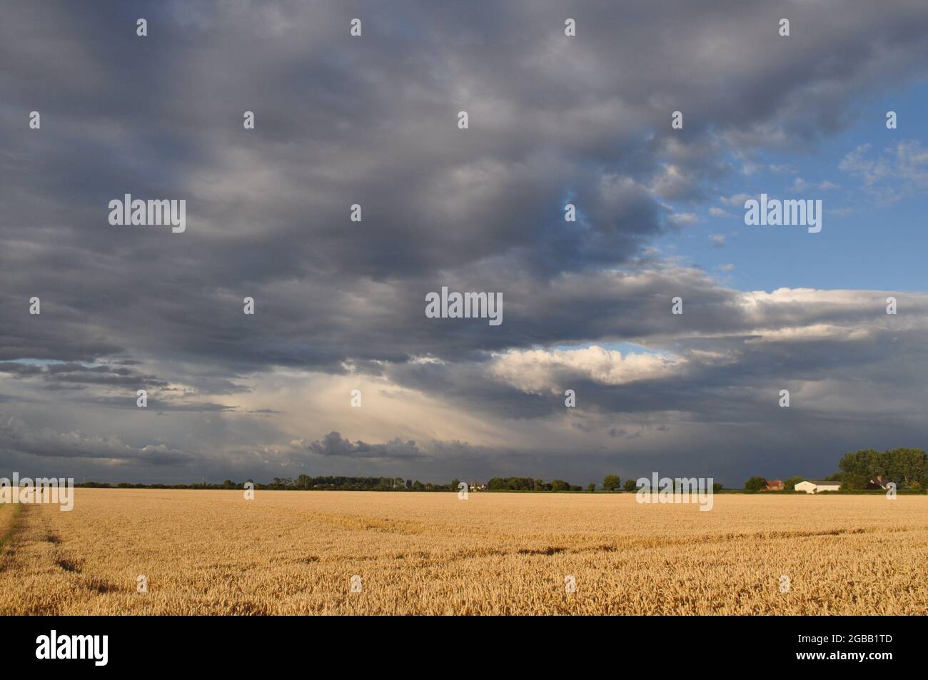Looking north-east from OS grid 498231 over Terrington Marsh, towards ...