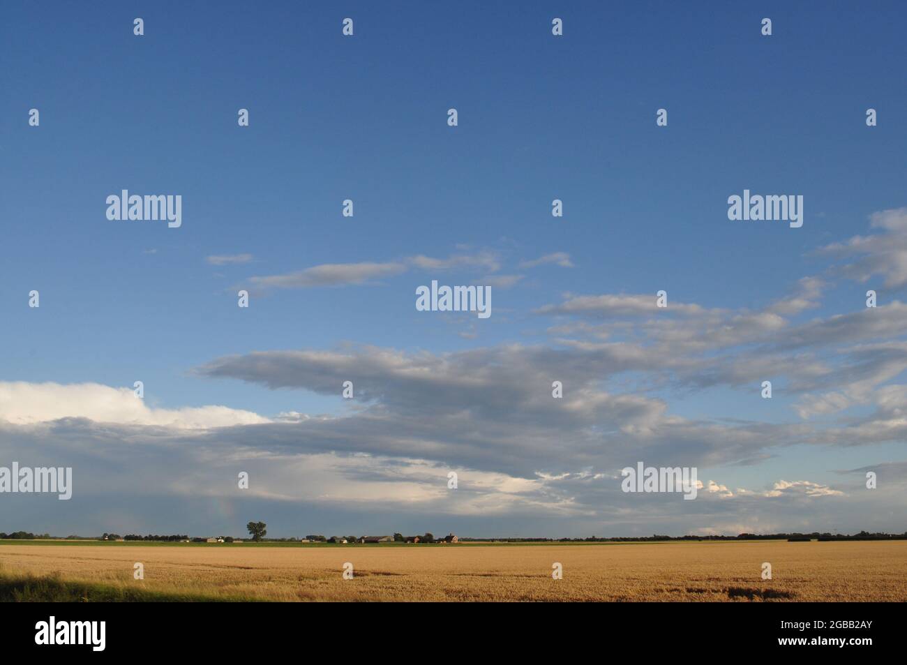 Looking south-east from OS grid 497232 over Wingland Marsh towards the ...