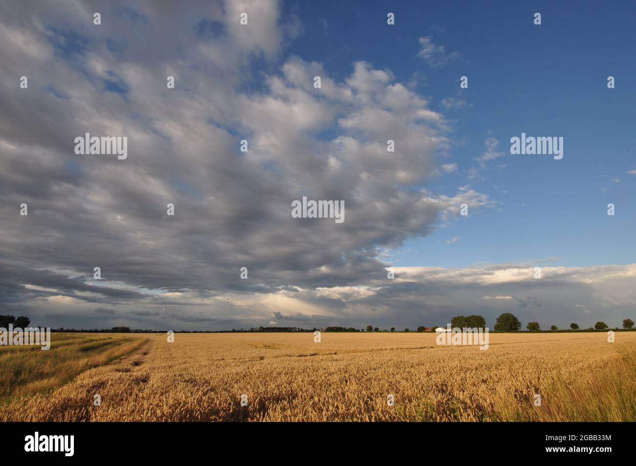 Looking north-east from OS grid 498231 over Terrington Marsh, towards ...