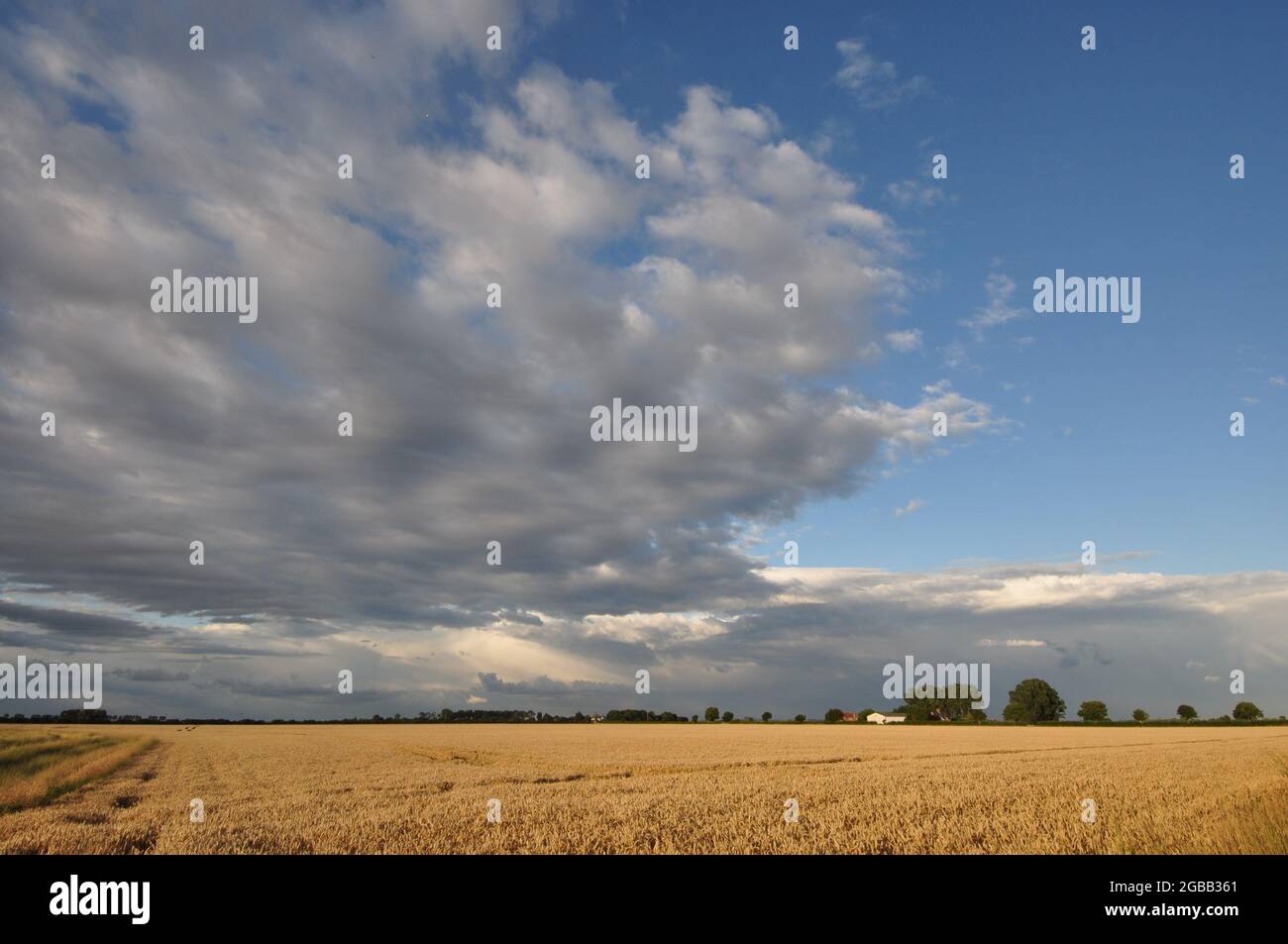 Looking north-east from OS grid 498231 over Terrington Marsh, towards ...