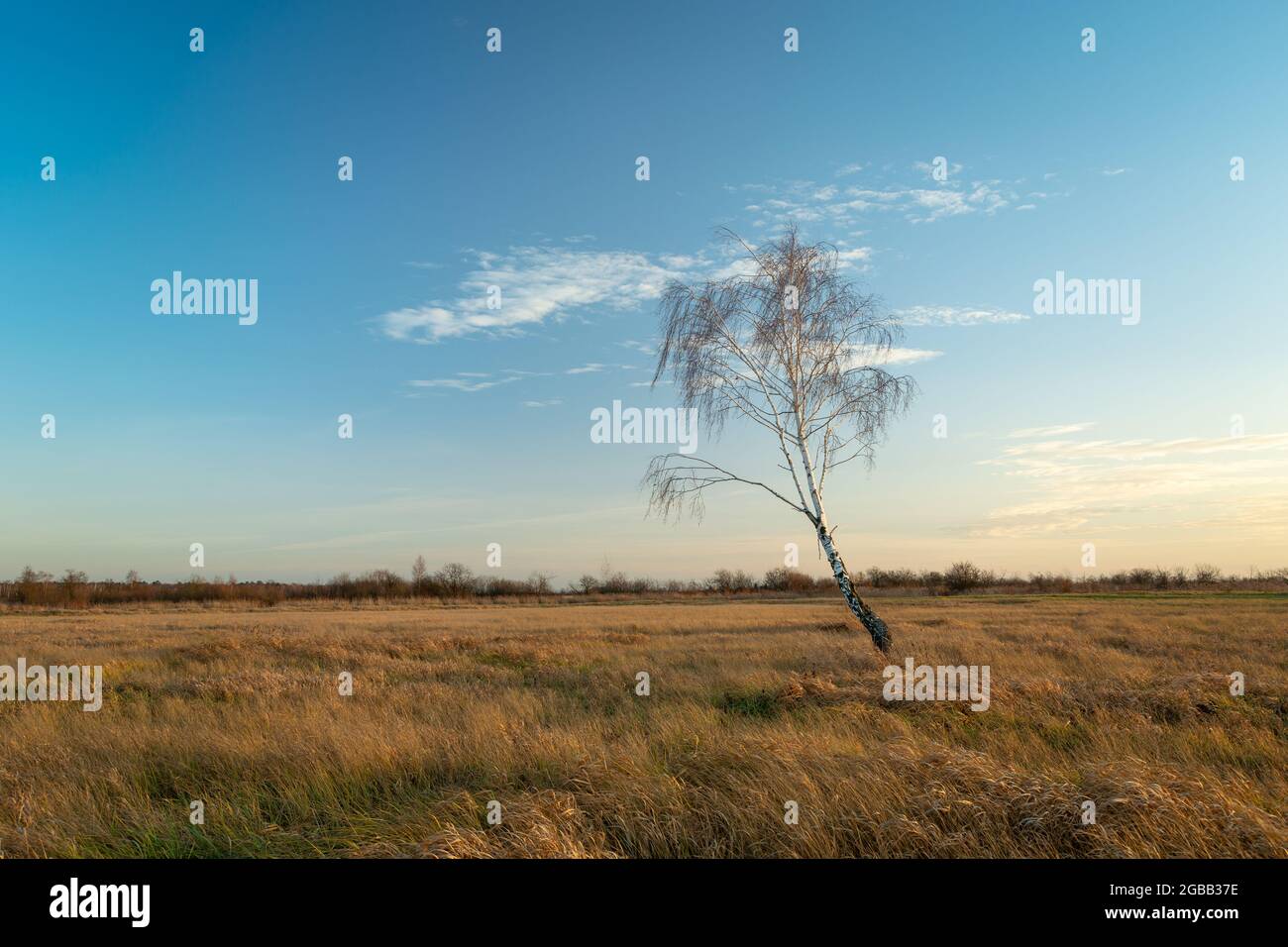 Lonely environment hi-res stock photography and images - Alamy