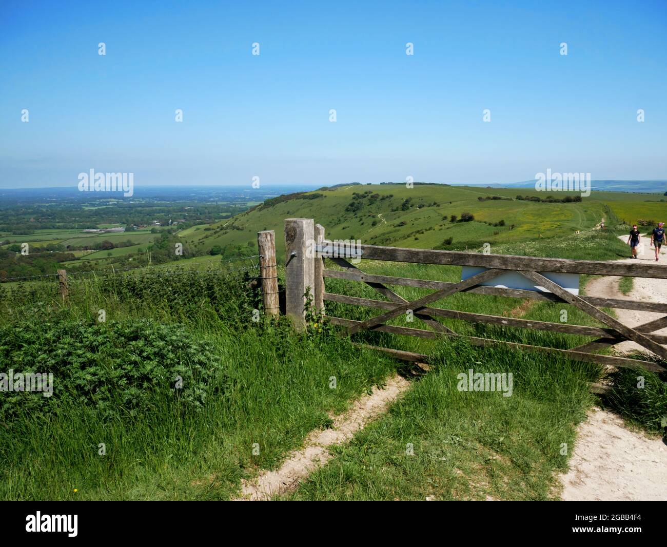 The South Downs Way at Ditchling Beacon, East Sussex Stock Photo - Alamy