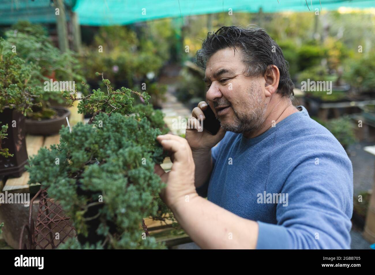 Talking tree hi-res stock photography and images - Alamy