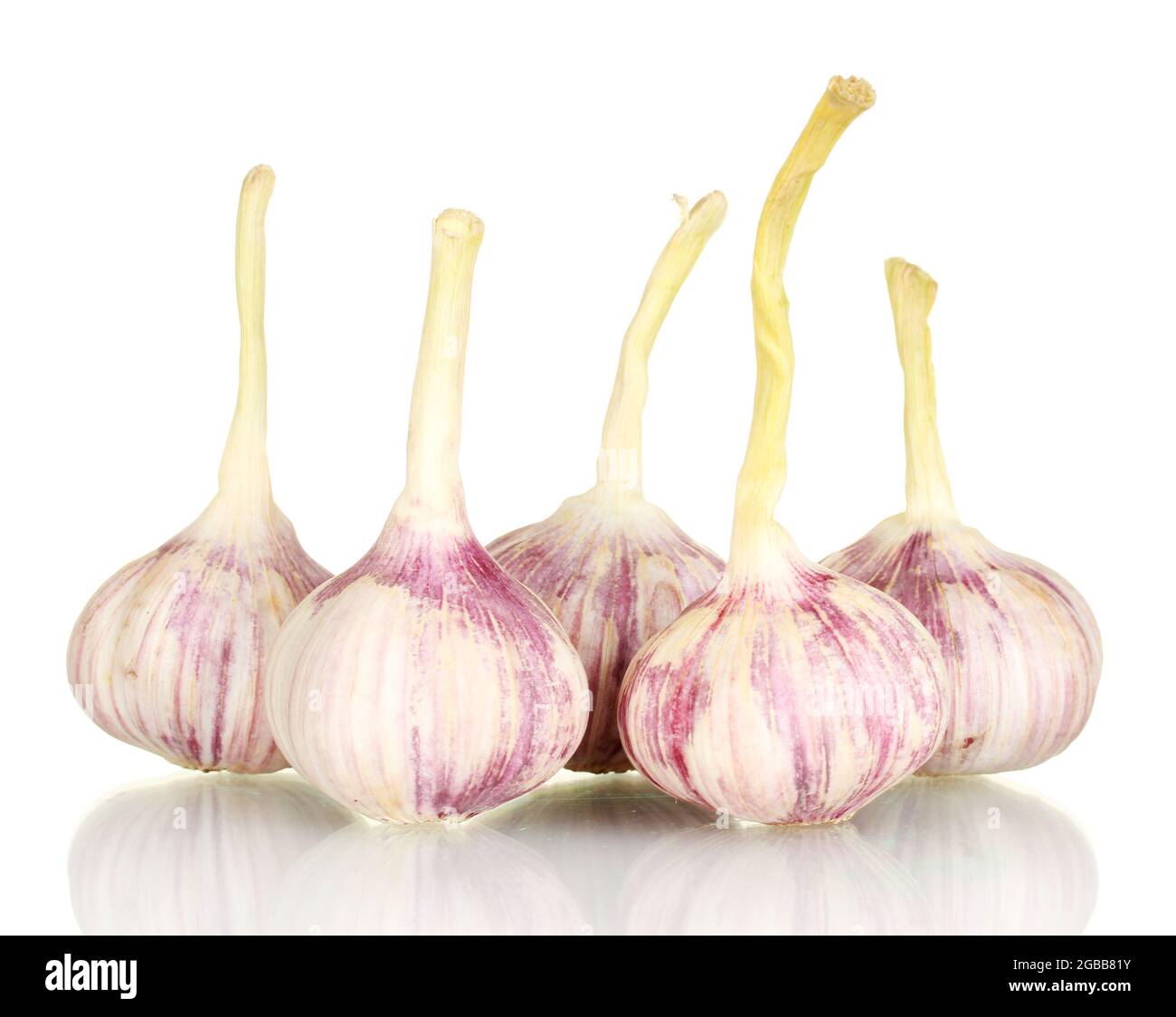 young garlic isolated on white background Stock Photo - Alamy