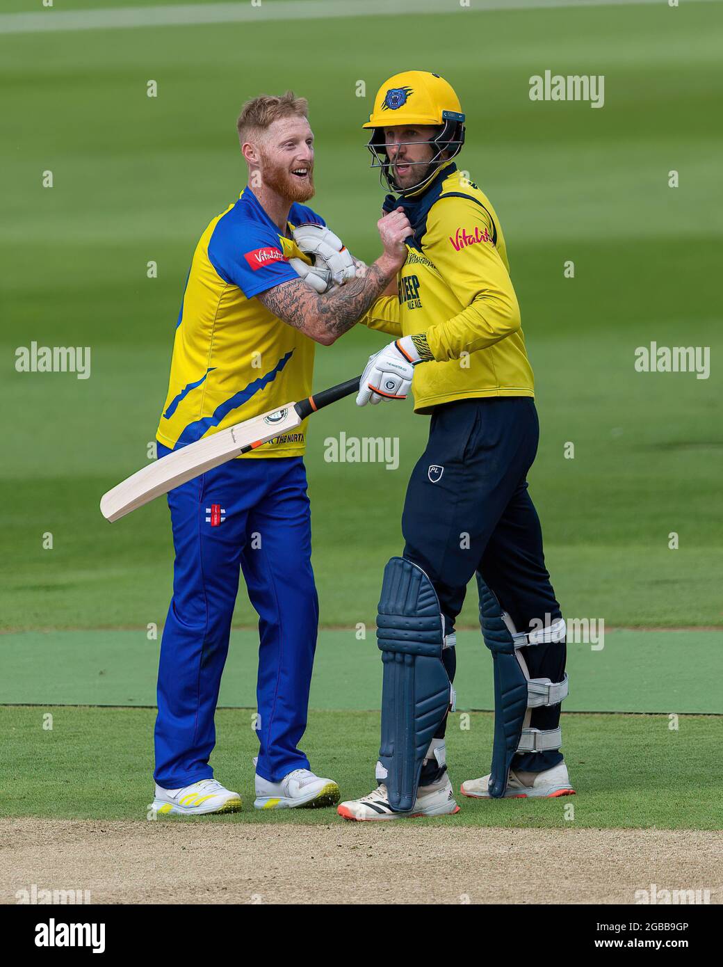 Matt lamb hi-res stock photography and images - Alamy