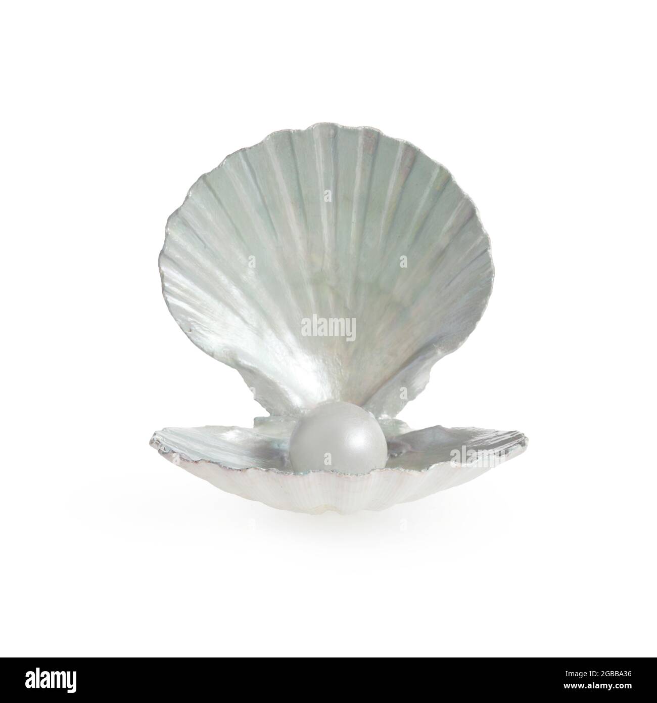 Pearl inside seashell isolated on white background Stock Photo - Alamy