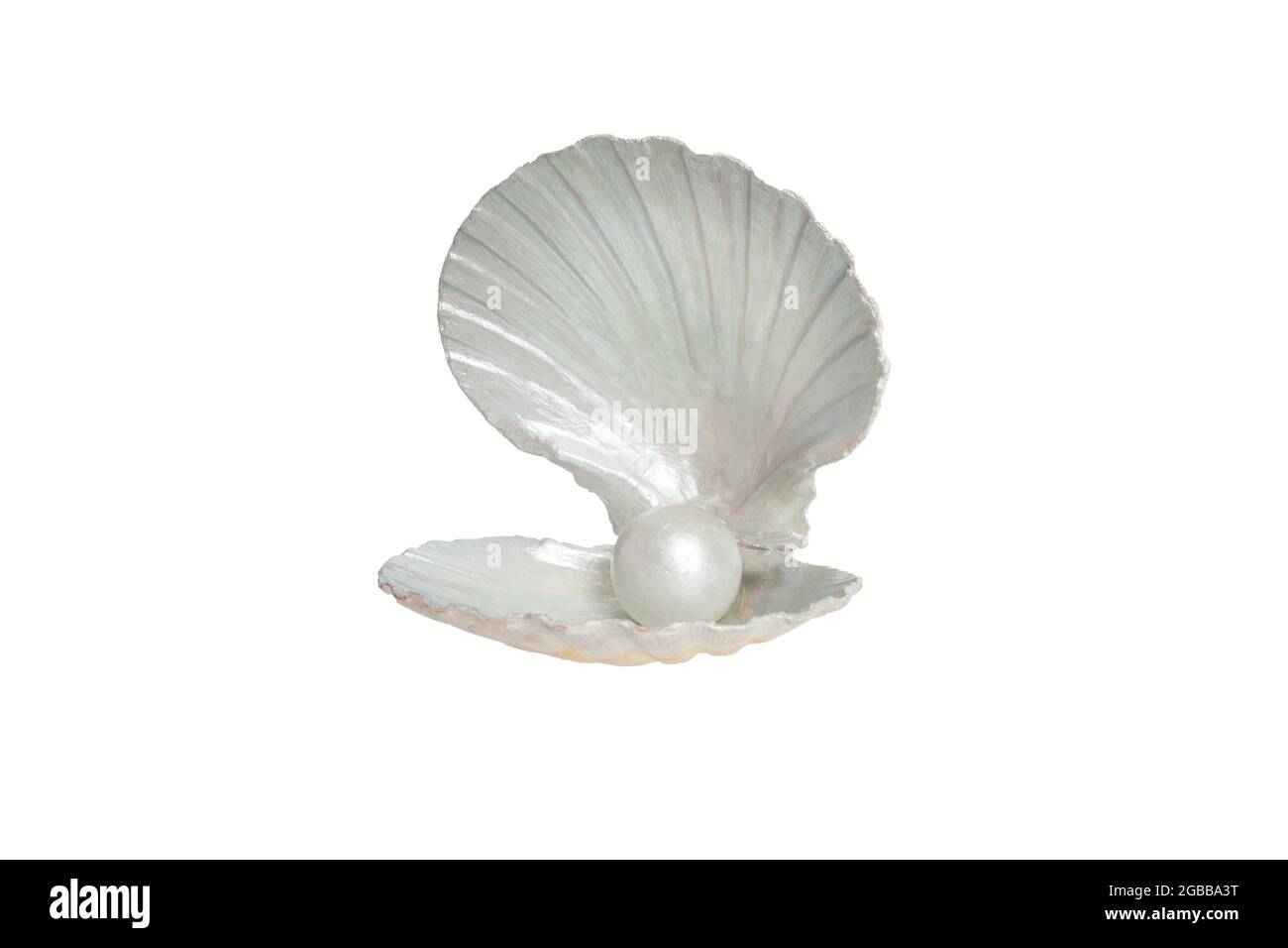 Pearl inside seashell isolated on white background Stock Photo - Alamy