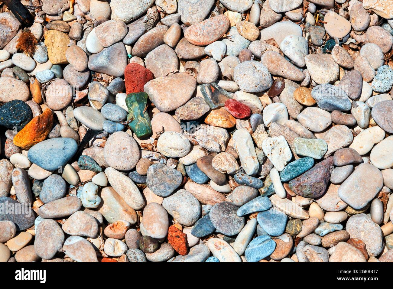 Dry colorful pebble stones on the beach under harsh sunlight Stock ...