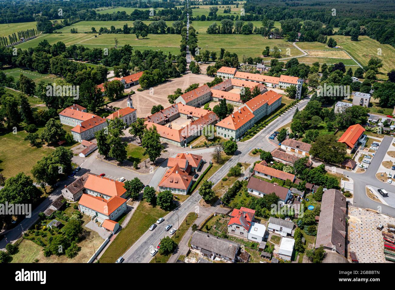 Breeding training of ceremonial carriage at kladruby nad labem hi-res ...