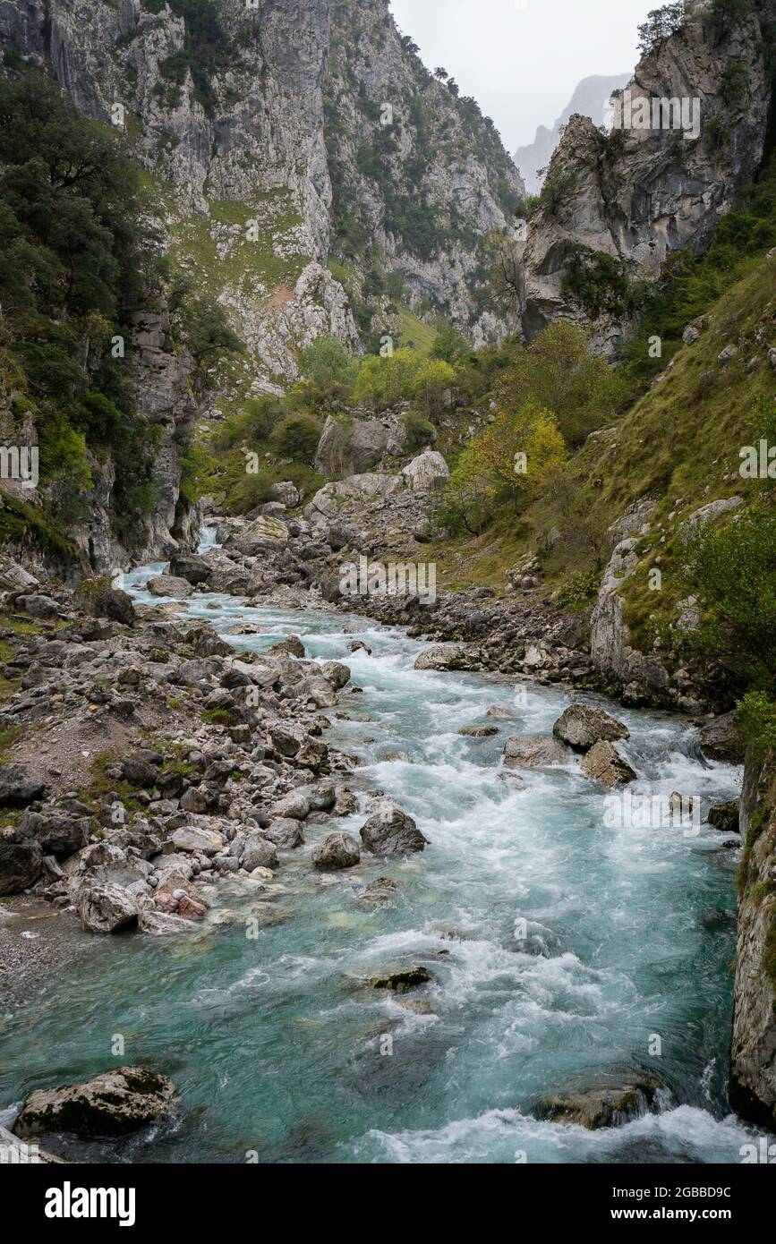 Ruta del Cares trail nature landscape in Picos de Europa National Park ...