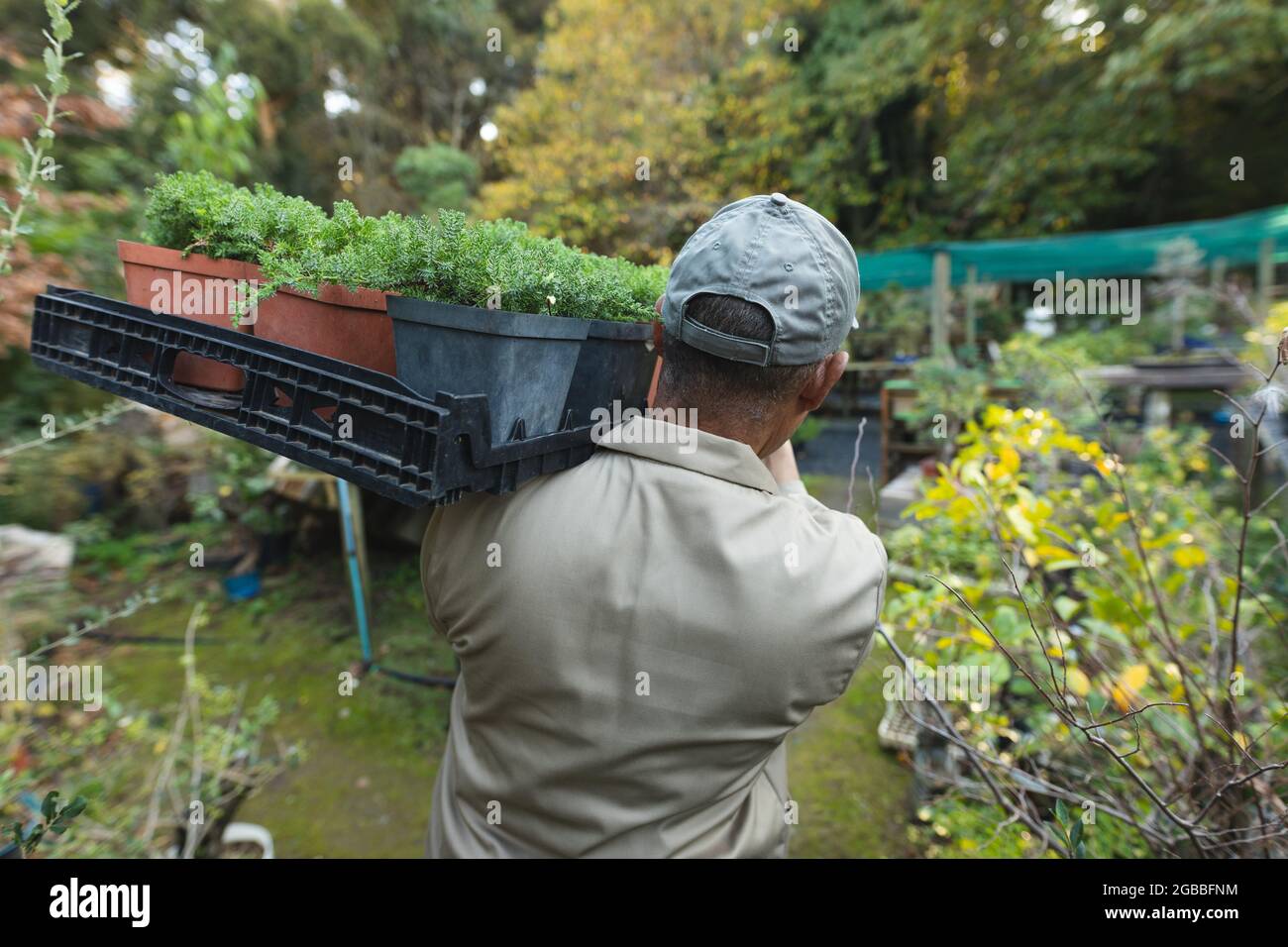 Back view of african american male gardener holding box with plants at ...