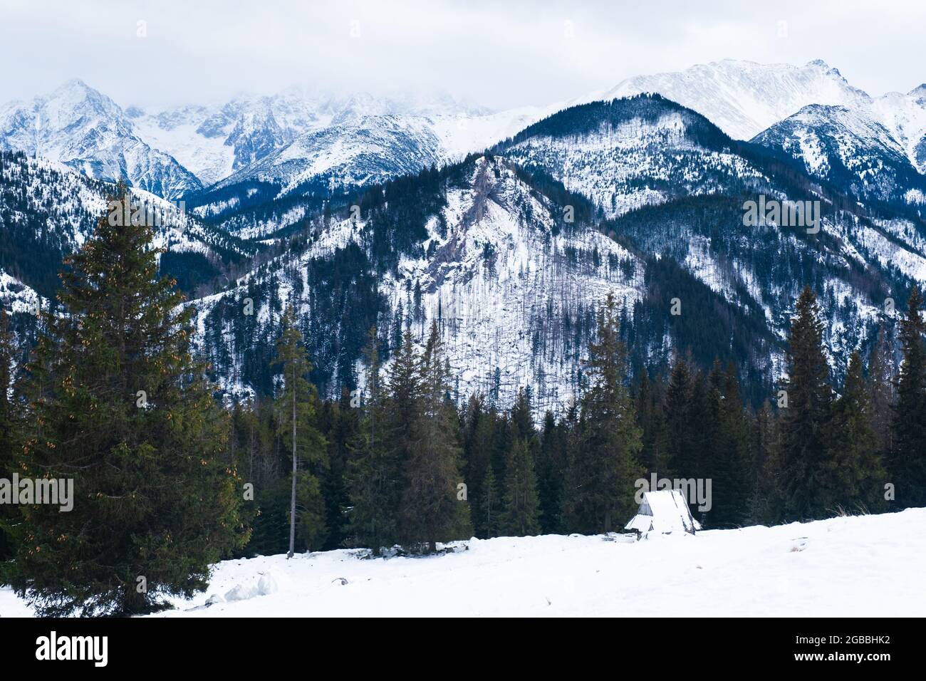 Scenic of snow-capped mountain landscape on a cloudy day in winter ...