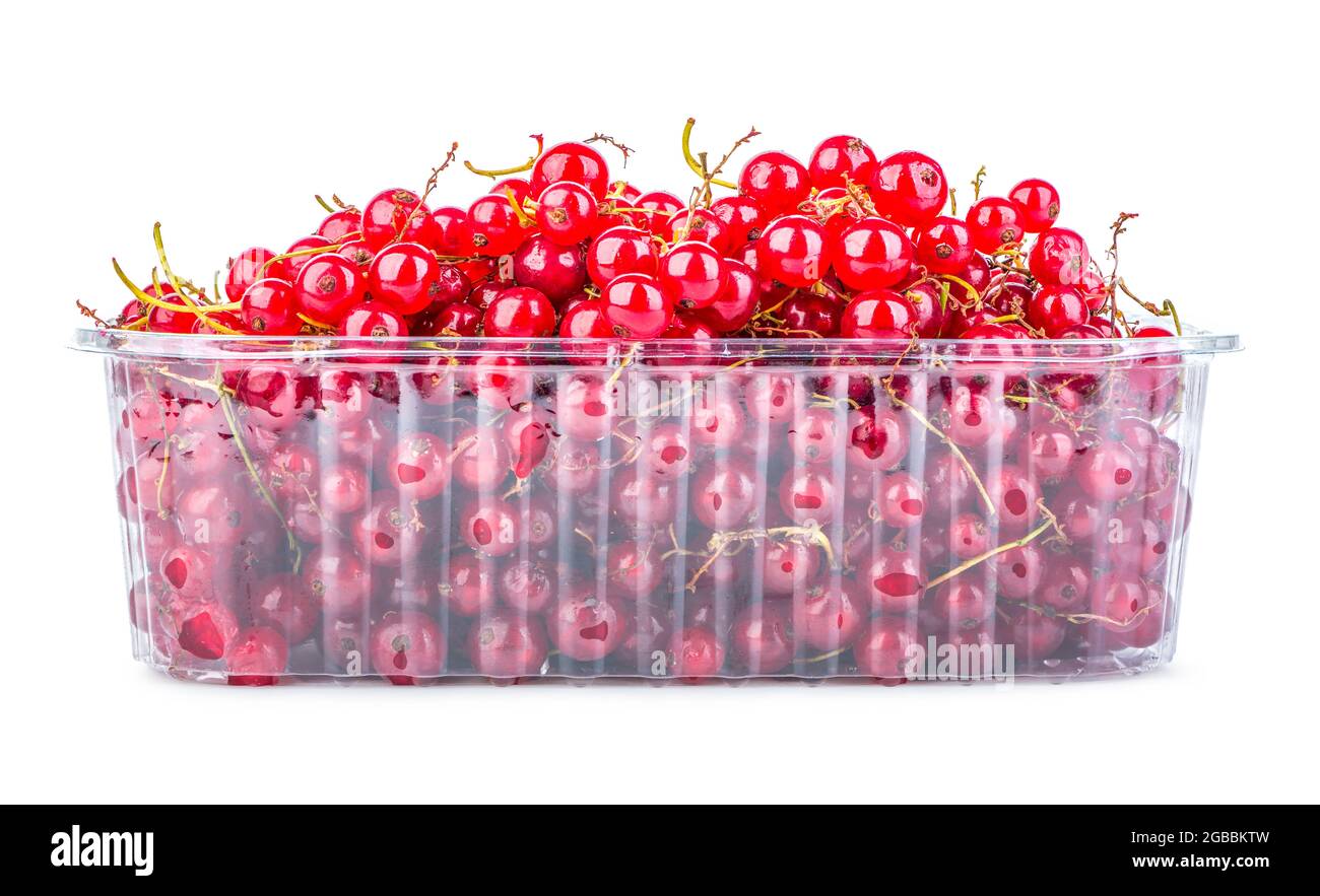 Red currant in container isolated on a white background Stock Photo - Alamy