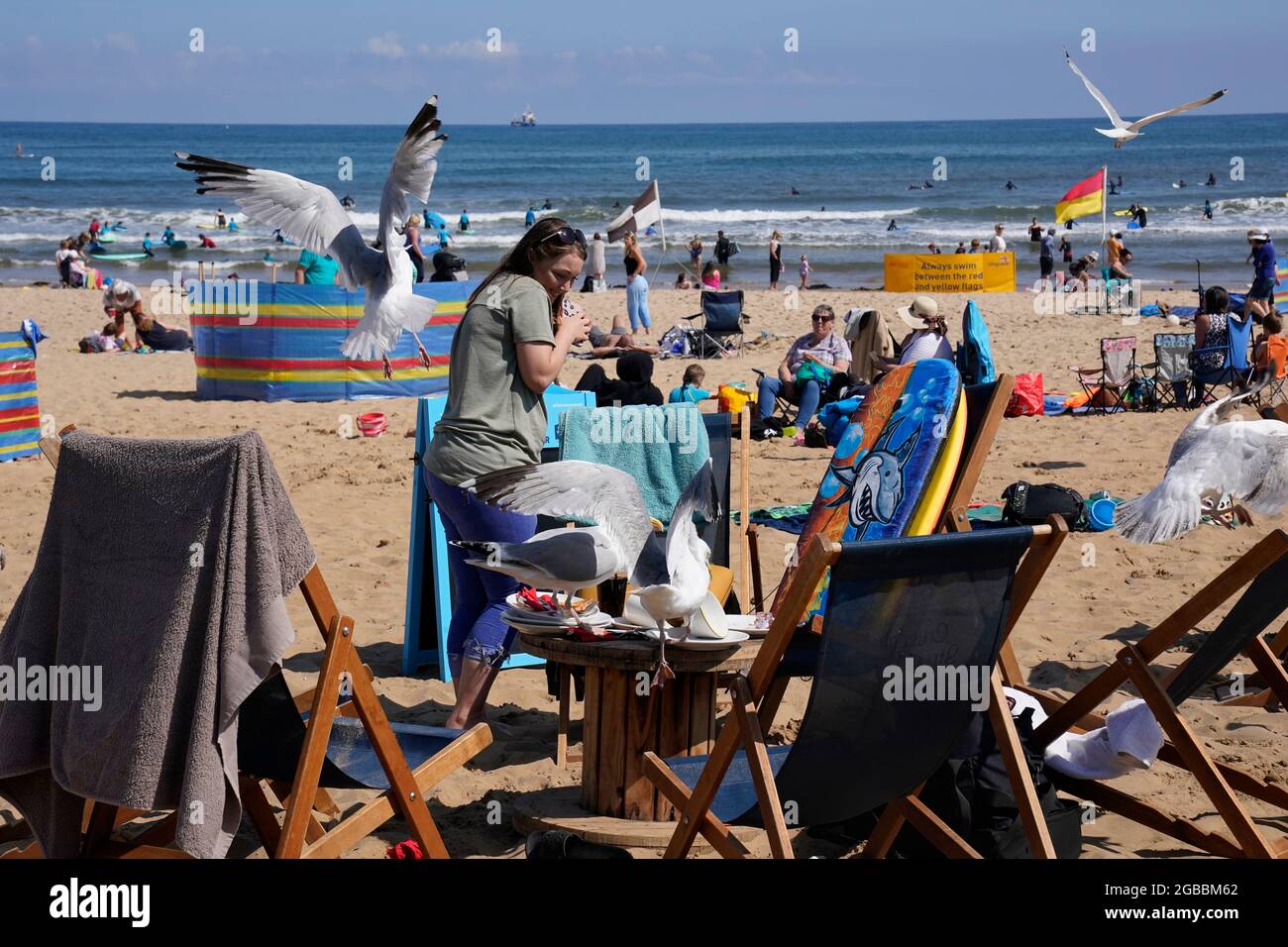 Seagulls take food from a table on Tynemouth beach on the North East ...