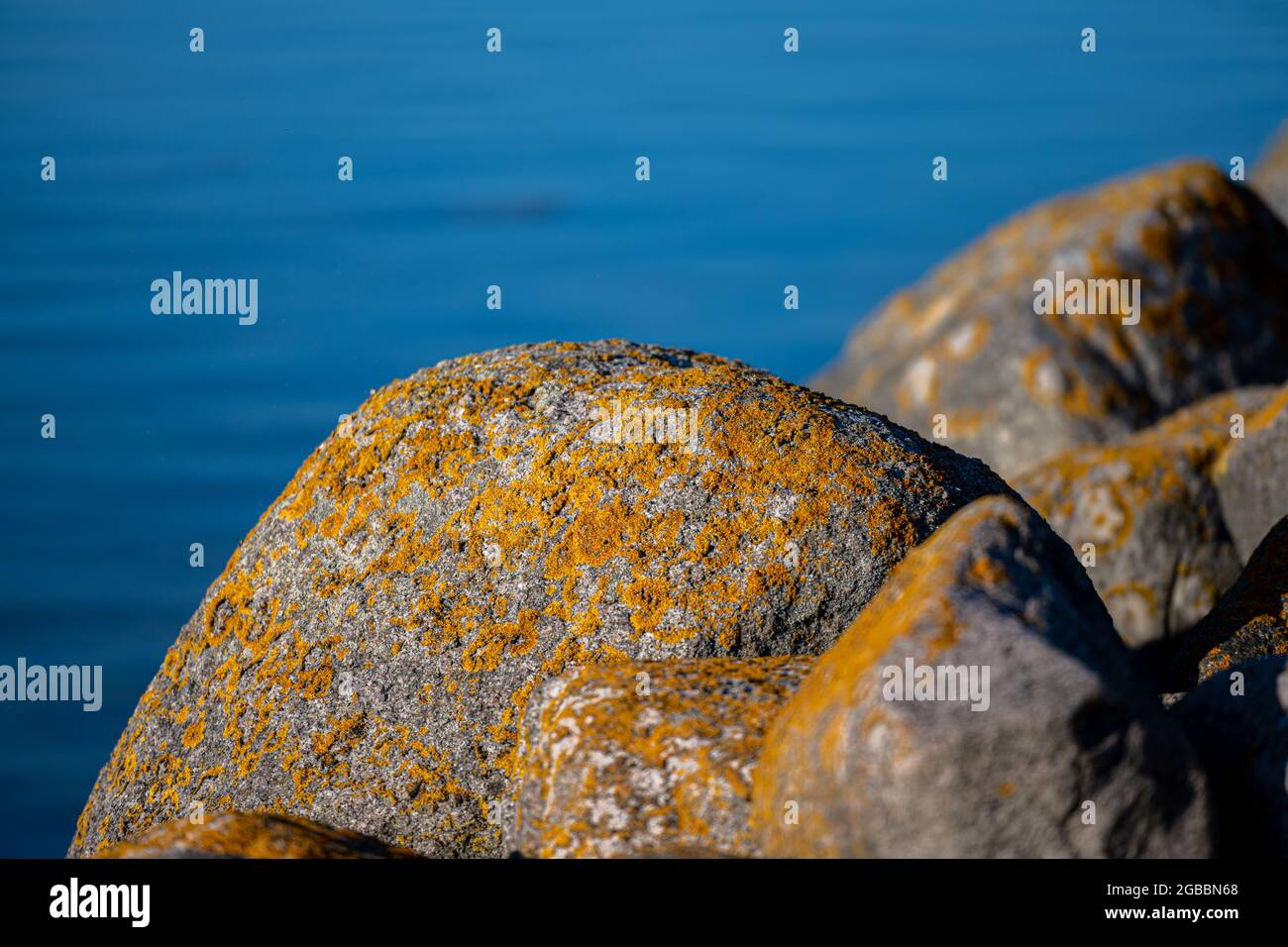 An ocean boulder in beautiful sunset light. Picture from the Baltic Sea ...