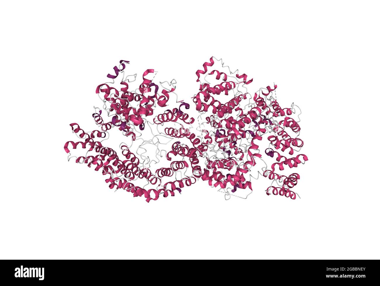 Cryo em image Cut Out Stock Images & Pictures - Alamy Cryo em image Cut Out Stock Images & Pictures - Alamy