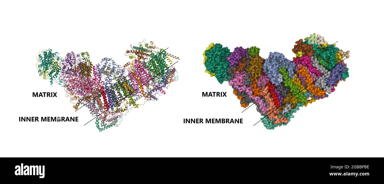 3d illustration matrix graphics Cut Out Stock Images & Pictures - Alamy