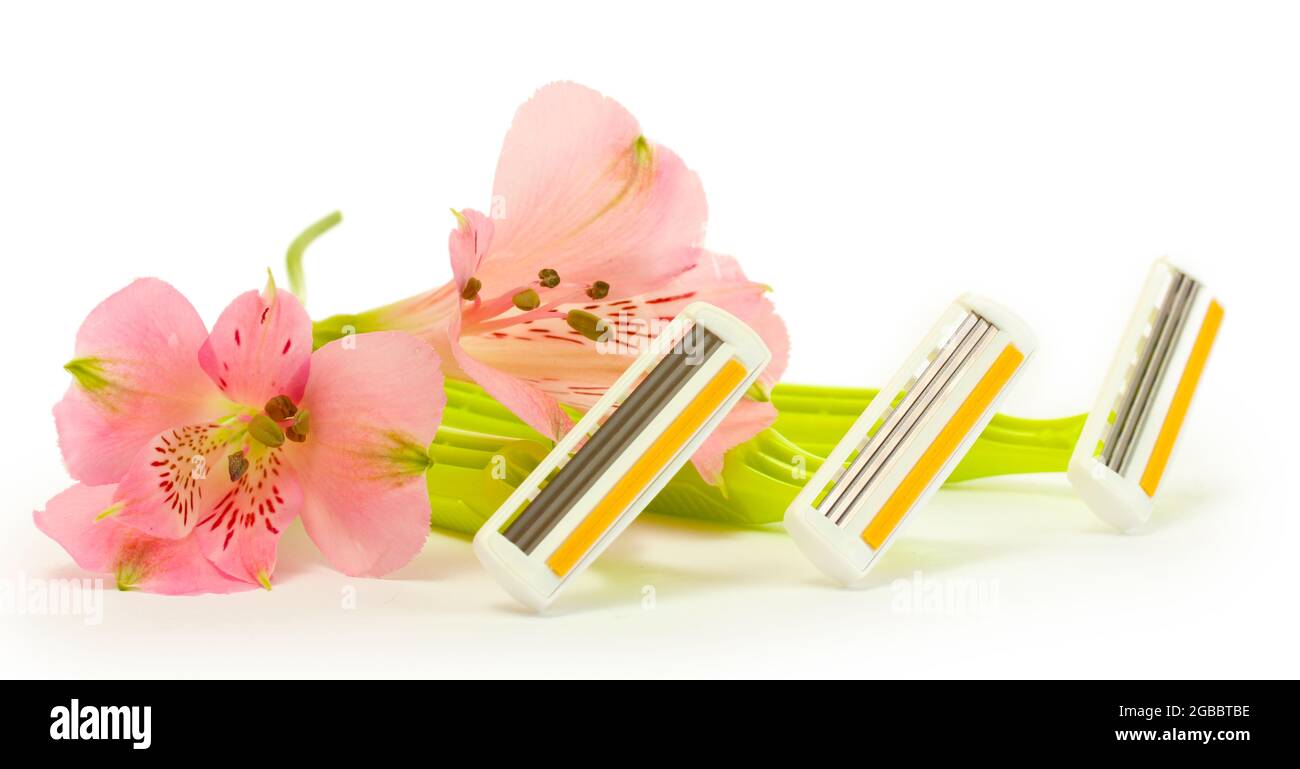 woman safety shavers and flowers isolated on white Stock Photo - Alamy
