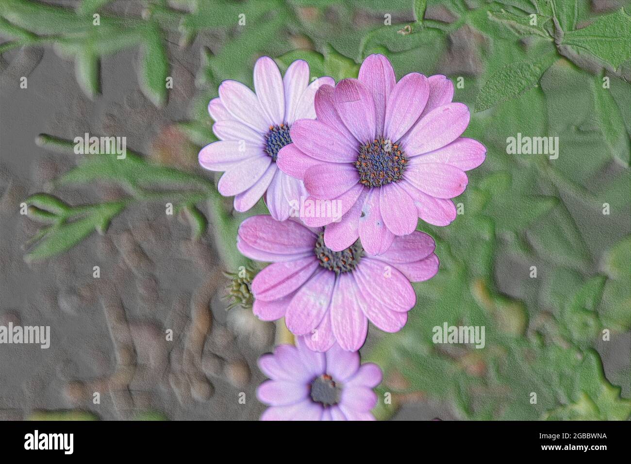 Embossed purple flowers hi-res stock photography and images - Alamy