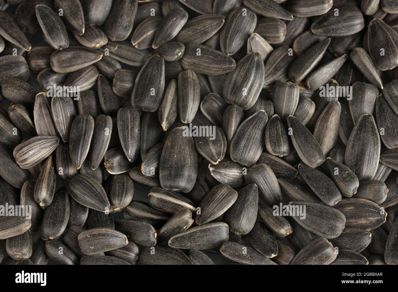 sunflower seeds background Stock Photo - Alamy