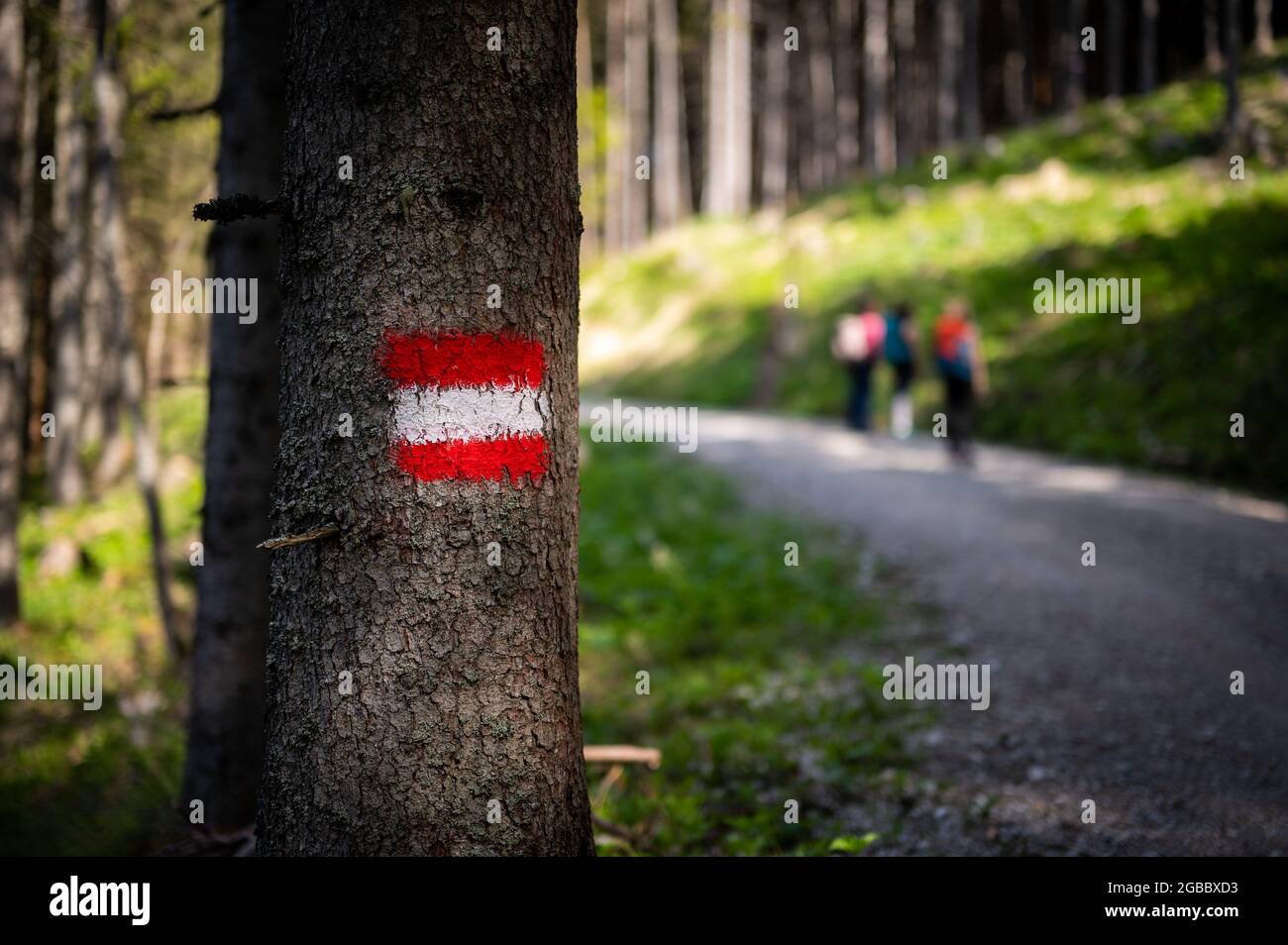 Hiking blaze on tree hi-res stock photography and images - Alamy