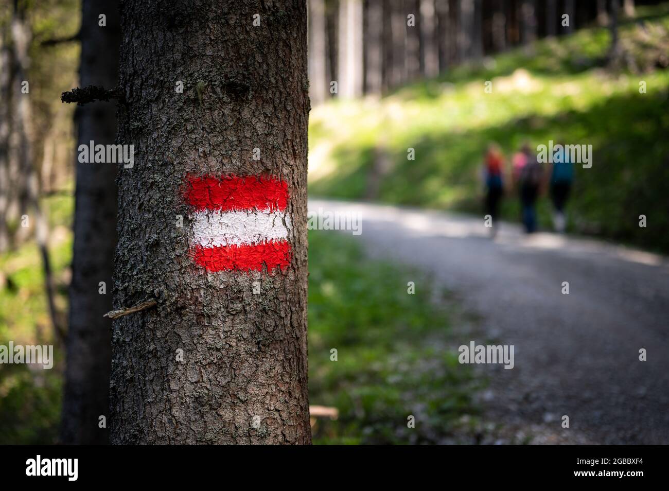 Red Blaze Trail Marker High Resolution Stock Photography and Images - Alamy