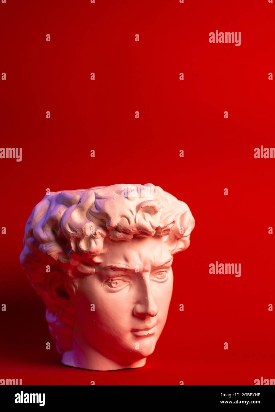 Gypsum statue of David's head. Michelangelo's David statue plaster copy ...