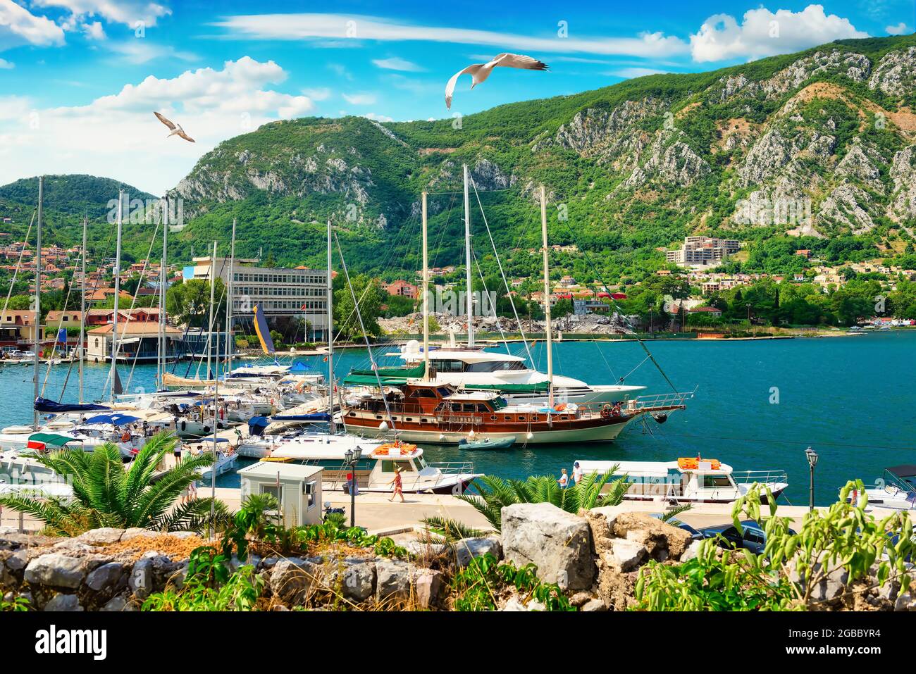 Seagulls over boats moored in Kotor harbor, Montenegro Stock Photo - Alamy