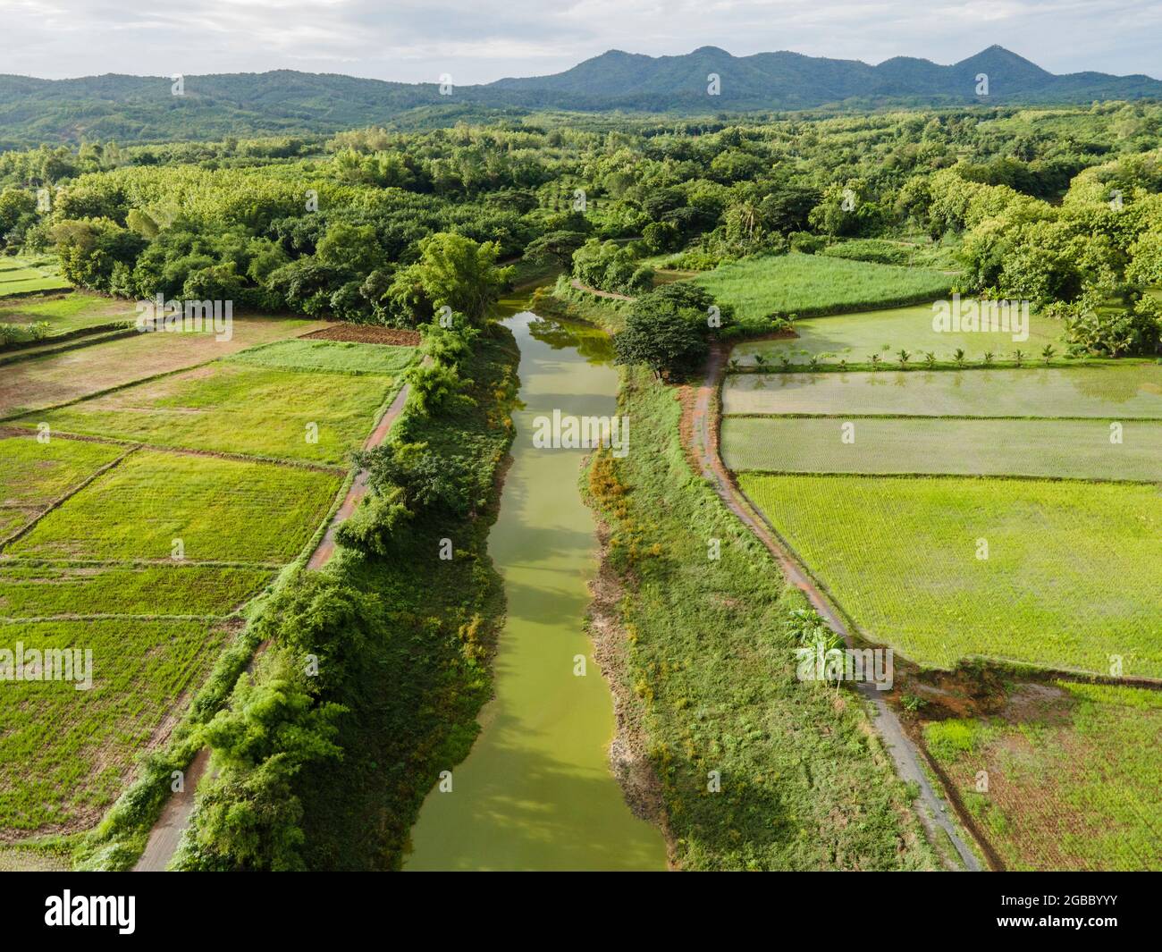 Aerial view field environment forest nature agricultural farm mountain ...