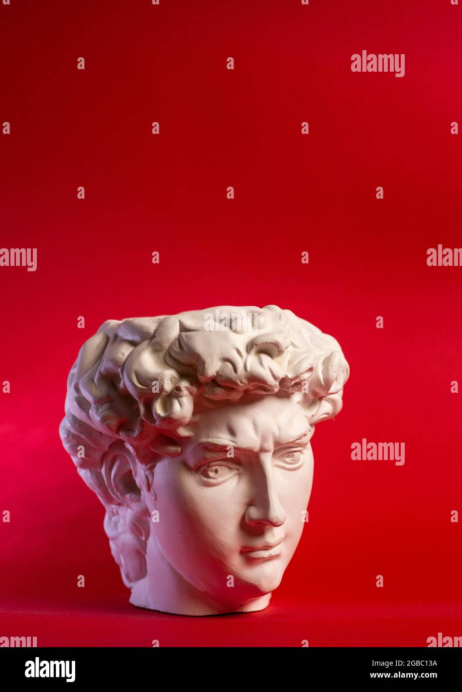 Gypsum statue of David's head. Michelangelo's David statue plaster copy ...